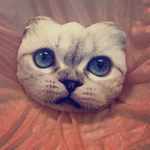 Taylor Swift | Accessories | Taylor Swift Meredith And Olivia Cat Pillow Cats | Poshmark